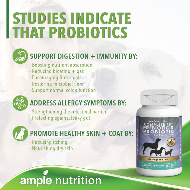 Best Probiotic Plus Prebiotic Supplement For Dogs | Pet Probiotic – Ample Nutrition